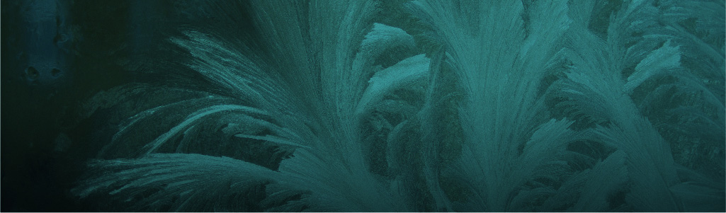 The Bayesian Brain - Wellcome Centre for Human Neuroimaging | FIL | UCL