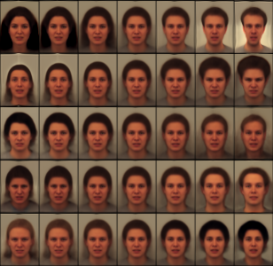 Shape and Appearance Models