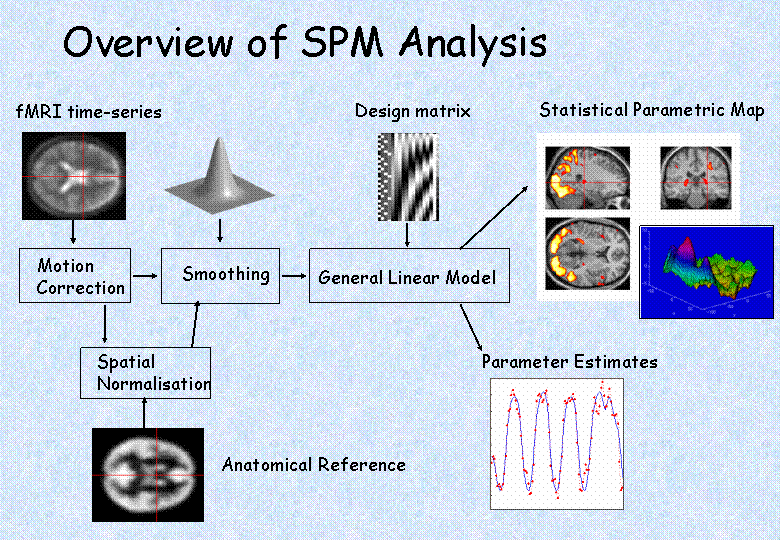 SPM Short Course Slide 2